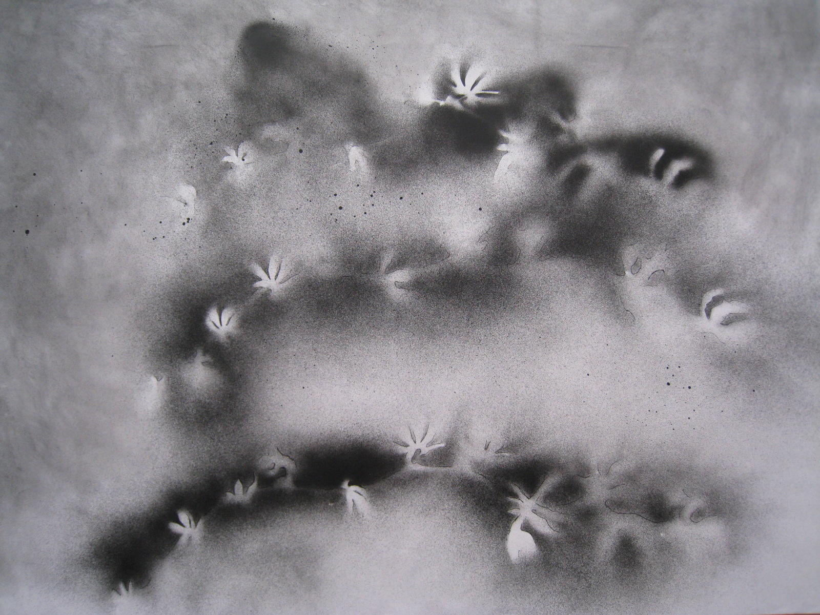 Drawings | Susan Grey